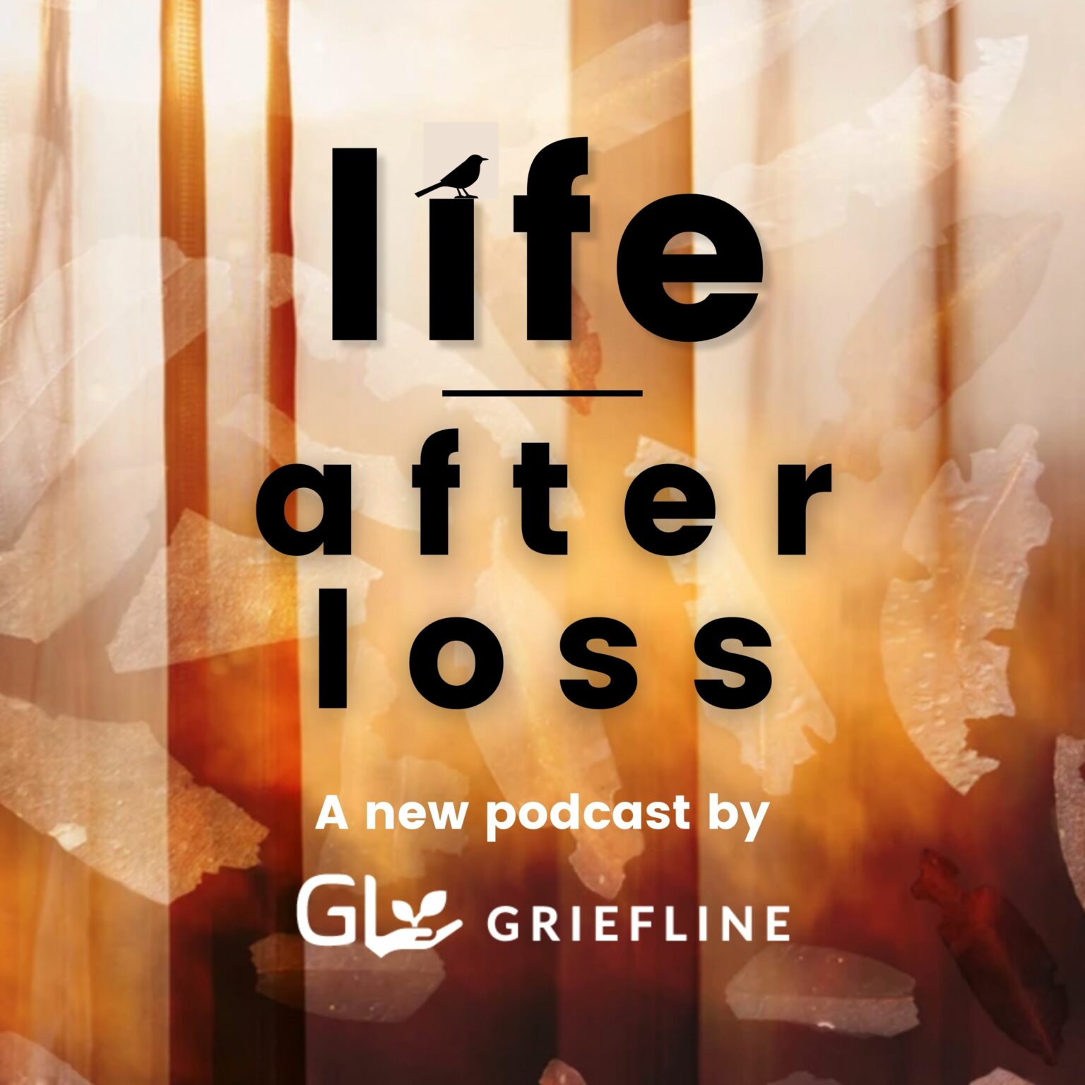 Grief Podcasts | Life After Loss Podcast For Healing